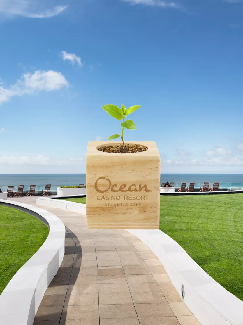 Earth Day Sweepstakes | Ocean Casino Resort
